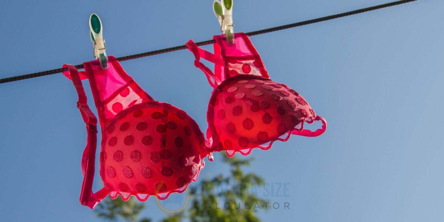 Bra Care 101: How to Wash, Dry, And Store Your Bras - Bra Size Calculator